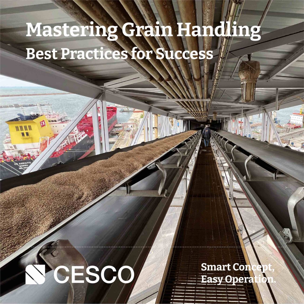 Mastering Grain Handling: 5 Pro Tips for Smarter, Safer Operations ...